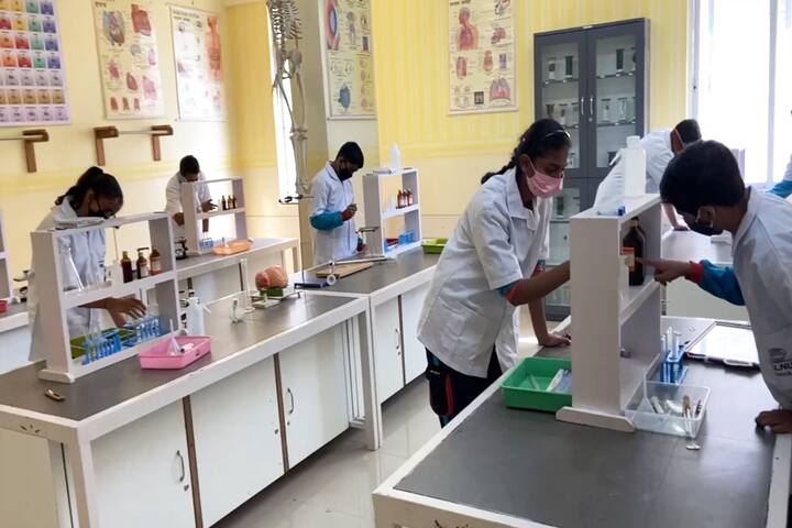 Walnut School, Fursungi, Pune: Admission, Fee, Affiliation